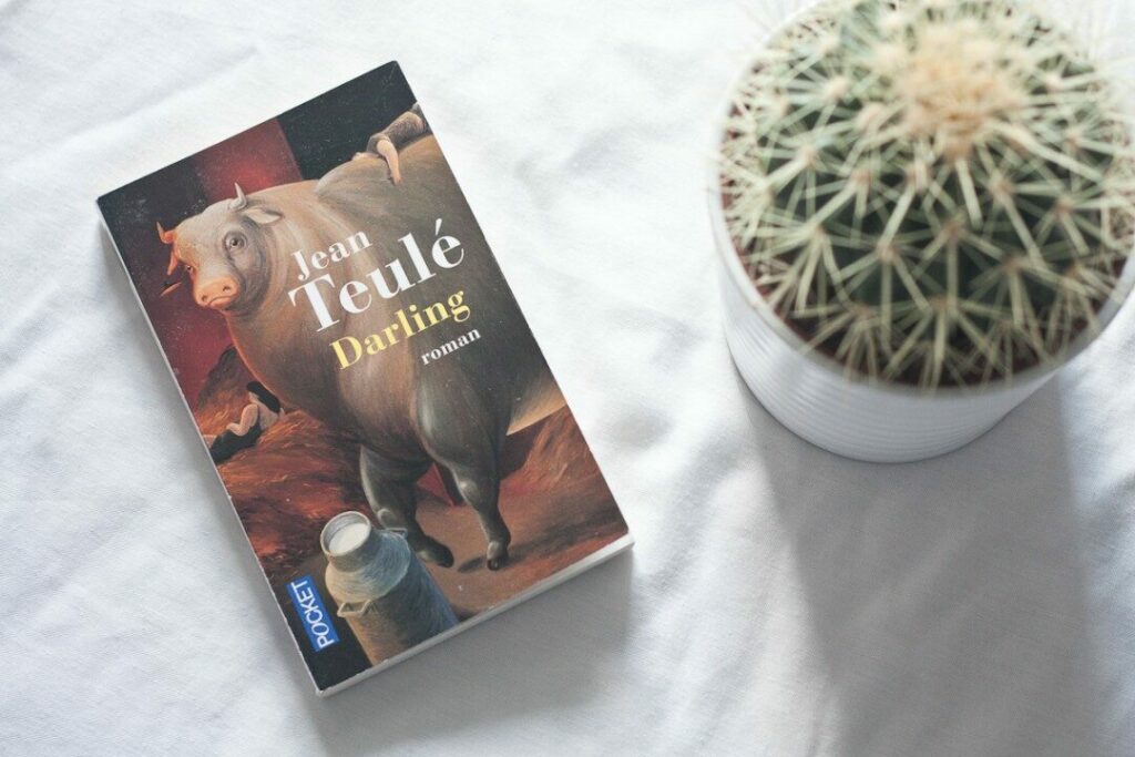 Le fraicheur chocolat – Pierre Hermé - Le Goût des Ôtres